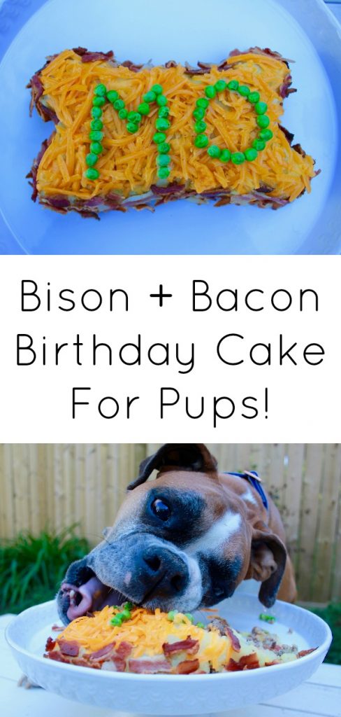 Bison + Bacon Dog Birthday Cake Recipe - Kari Skelton