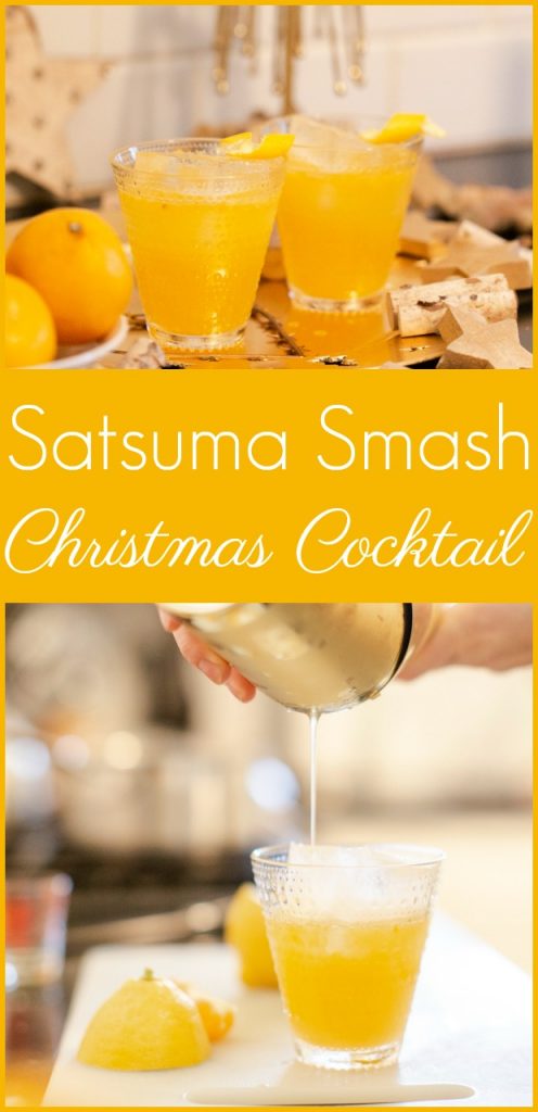 The Satsuma Smash - Kari Skelton